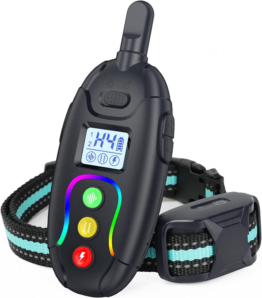 The 5 Best Dog Training Collars - Dogtime