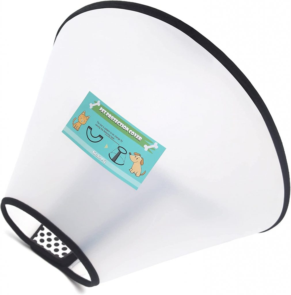 The 5 Best Dog Cones For Pet Recovery - Dogtime