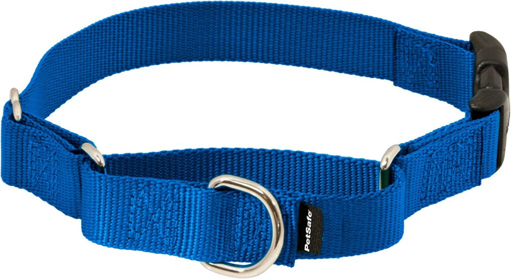 The 5 Best Slip Collars For Training Your Dog - Dogtime