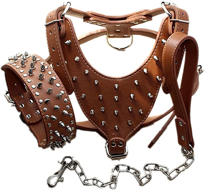 The 5 Best Leather Dog Harnesses for Classy Canines - Dogtime