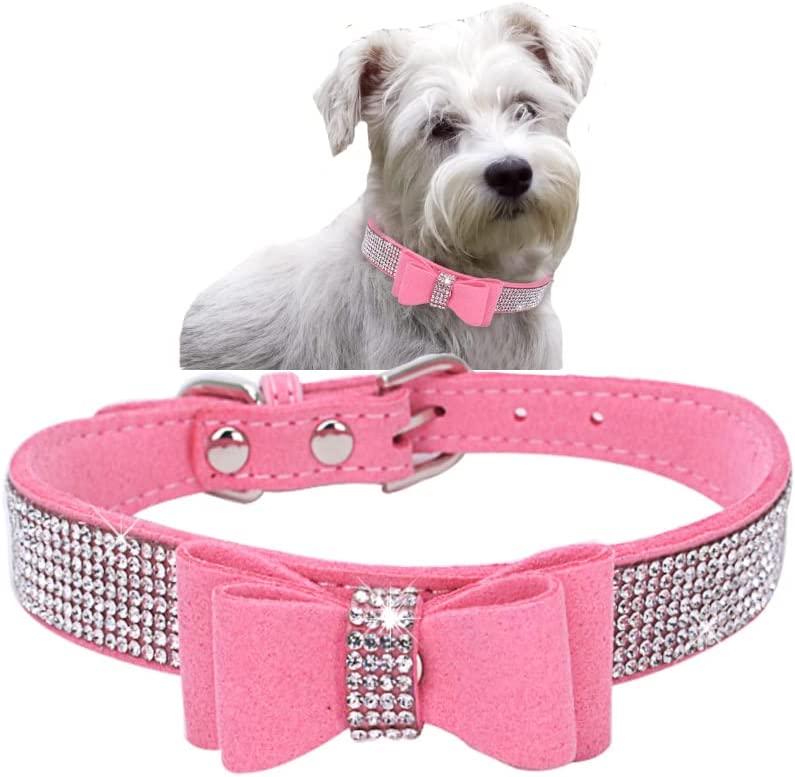 The 5 Best Cute Dog Collars For Your Pretty Pup - Dogtime
