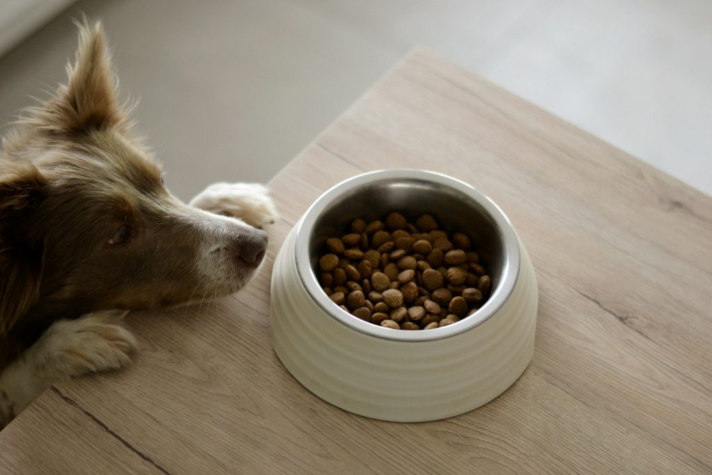 Whole Earth Farms Dog Food Review 2024 - Dogtime