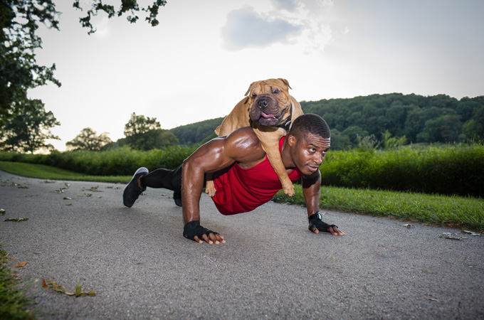 Keep Your Dog Mentally And Physically Fit - DogTime