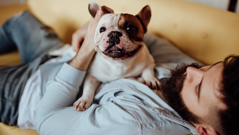 Thinking About Getting A Dog? Ask Yourself These Questions First - DogTime