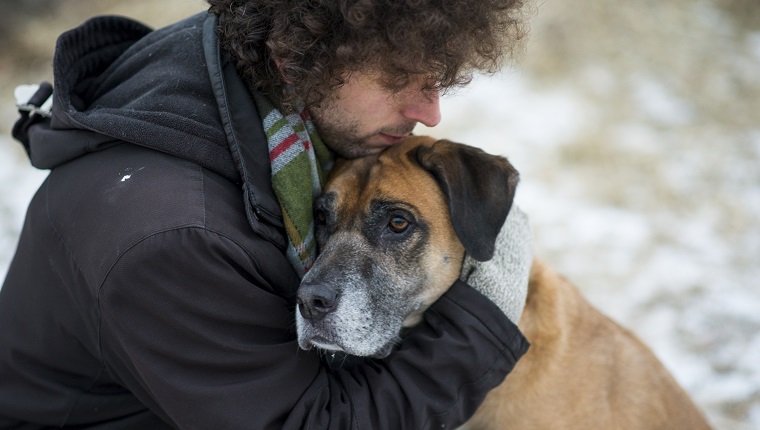 The Loss Of Your Dog: What To Expect When It Comes To Grief ...