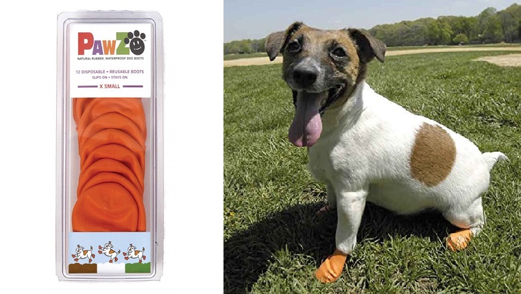 DogTime Review: PAWZ Rubber Dog Boots Keep Paws Safe - DogTime