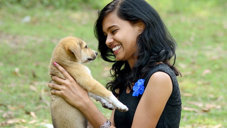 Adopt A Pet Dog Or Puppy: What You Need To Know - DogTime