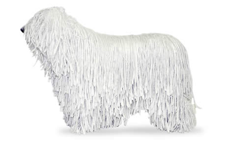 Komondor Dog Breed Information, Pictures, Characteristics & Facts - Dogtime