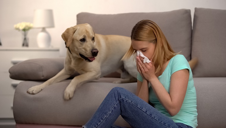 Got Allergies? Here's What To Do If You're Allergic To Dog Dander - DogTime