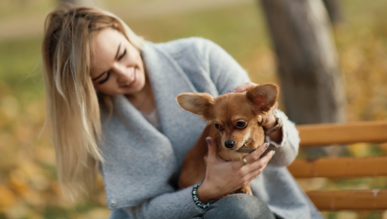 Handling & Gentling: How To Get Your Puppy Comfortable With Human Touch ...