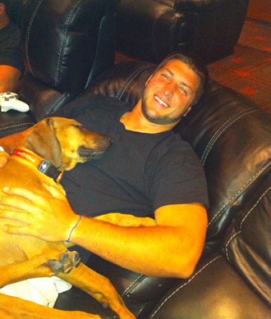 Tim Tebow: Football Star, Dog Lover - DogTime