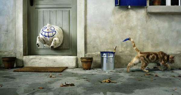 The best dog and cat print ads - DogTime