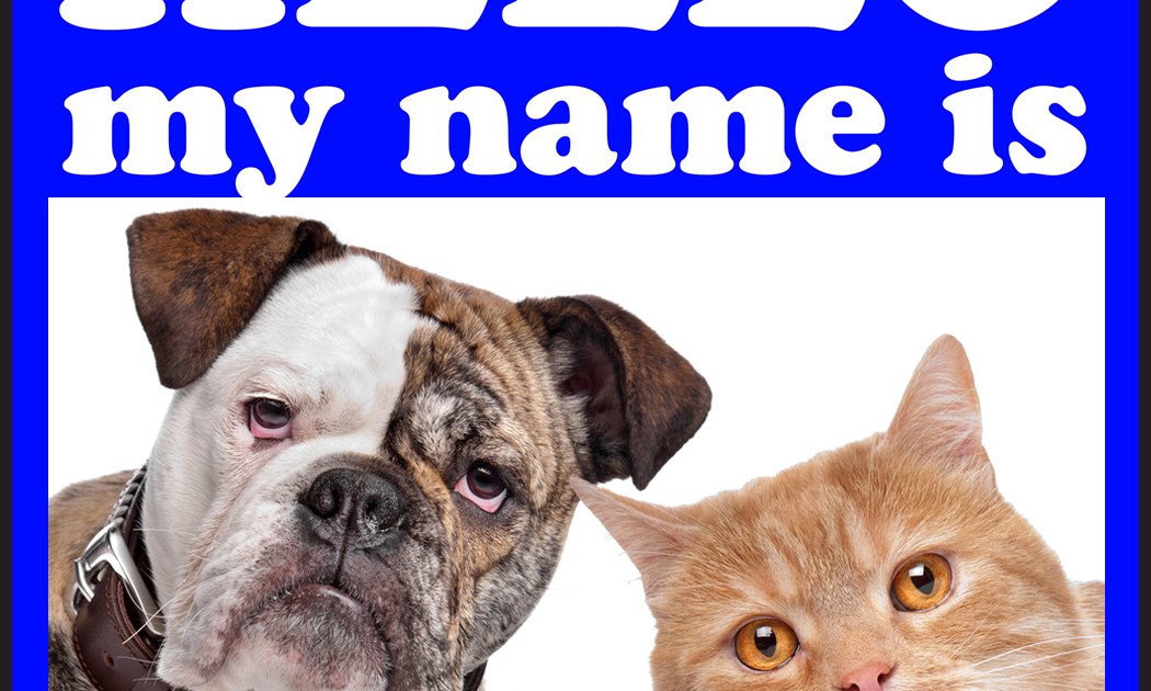 Top 100 weird pet names of 2011 - DogTime