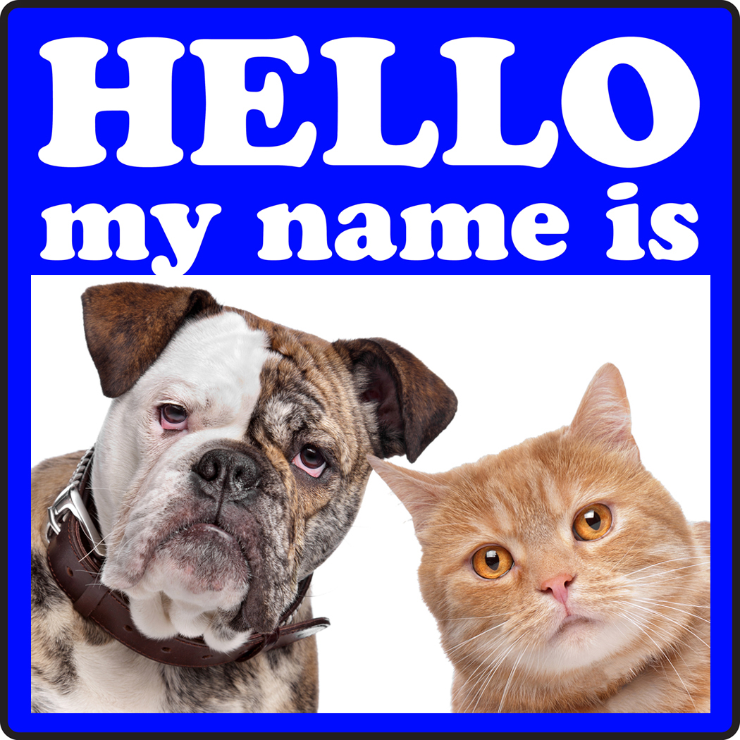 Top 100 weird pet names of 2011 - DogTime