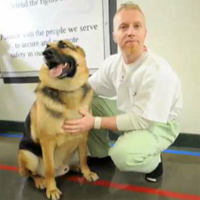 Custody Canine Program rehabilitates dogs and prisoners - DogTime