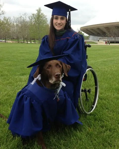 Photo of service dog at college graduation goes viral - DogTime