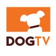 TV channel for dogs to launch nationwide - DogTime