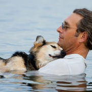 UPDATE: Photo brings a new leash on life for Schoep - DogTime