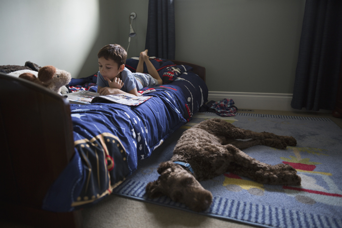 Top 10 Tricks Kids Can Teach Dogs - DogTime