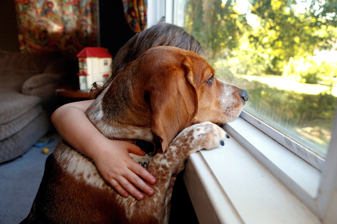 Top 10 Tricks Kids Can Teach Dogs - DogTime