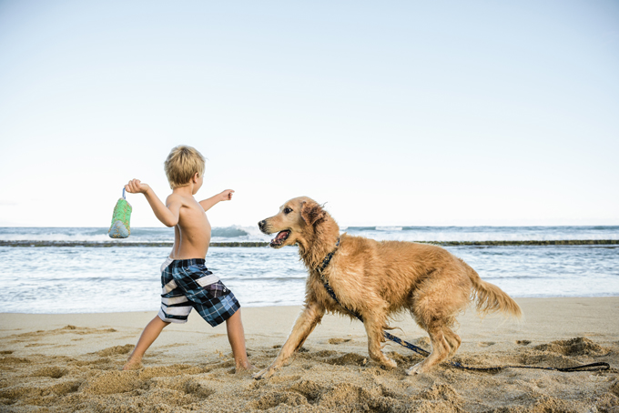 Top 10 Tricks Kids Can Teach Dogs - DogTime