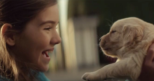 Touching Chevy dog commercial: "Maddie" - DogTime
