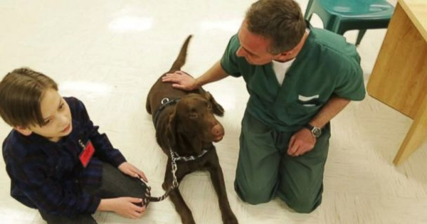 Colorado inmate trains dogs to help autistic children - DogTime