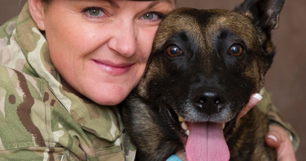Army medic adopts bomb dog who saved her life - DogTime