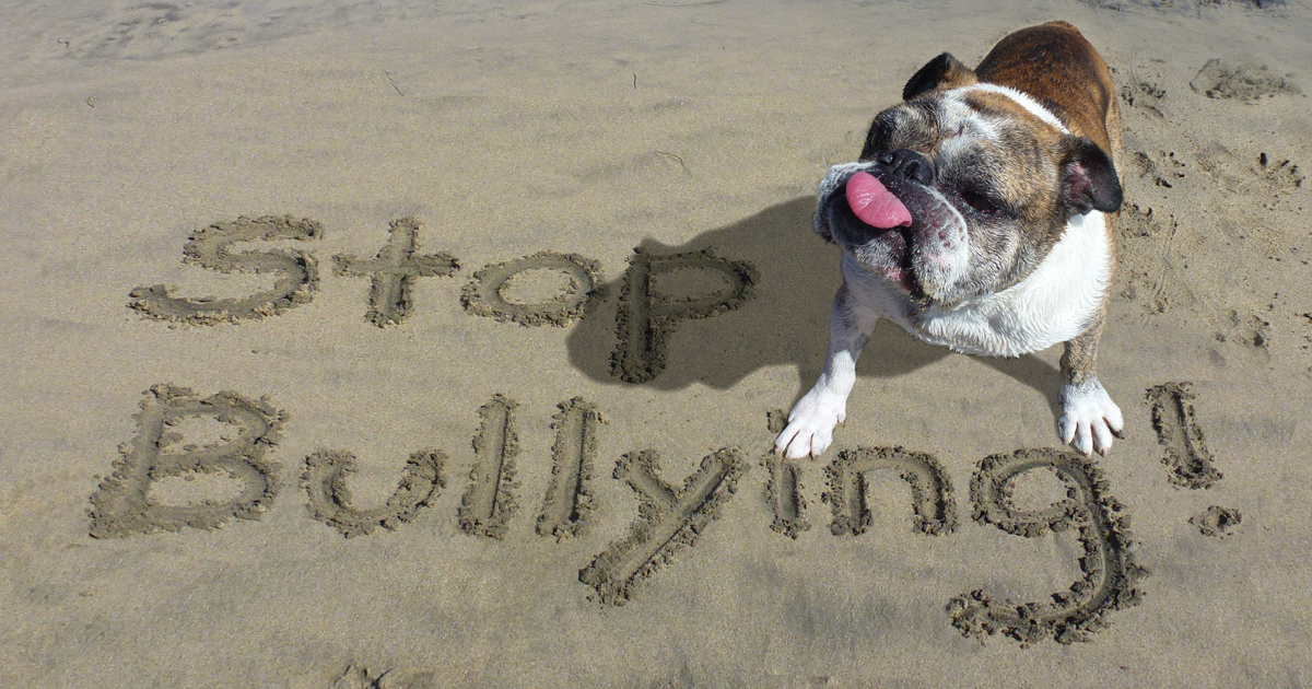 PETA wants dogs to be protected from bullying, too - DogTime