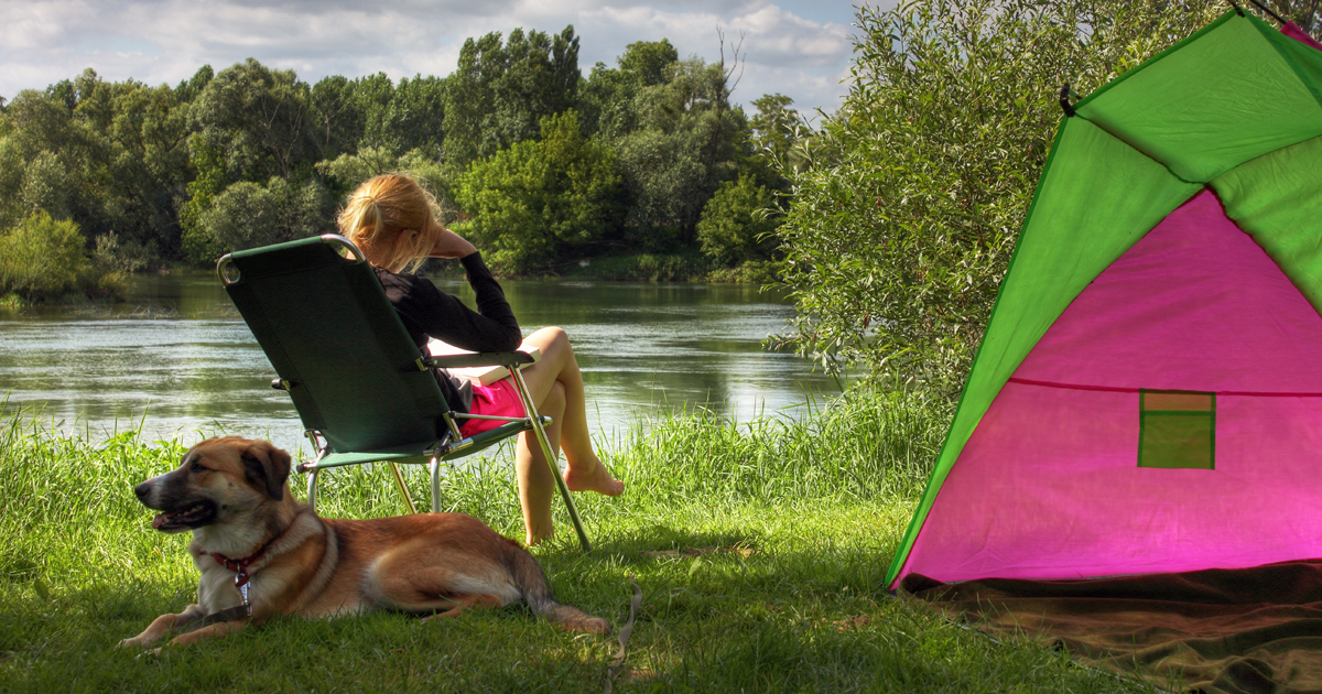 Camping with canines - DogTime