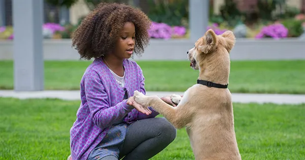 Sun comes out for mutt playing Sandy in new “Annie” movie - DogTime