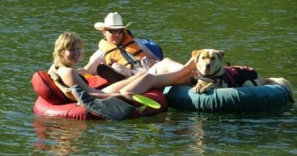 5 Dog Friendly Spring Vacation Ideas - DogTime