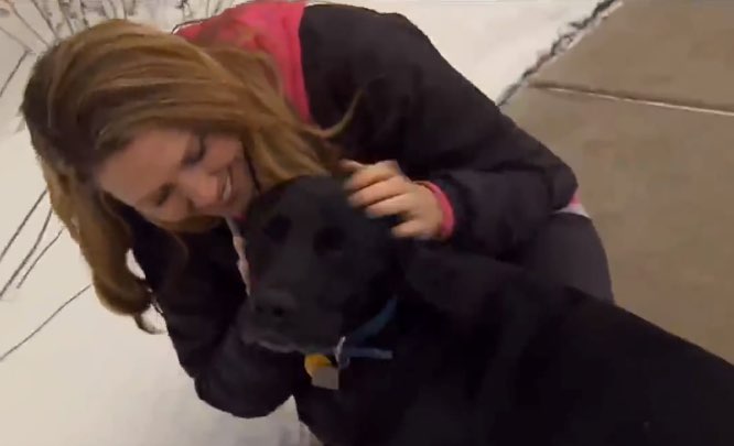 Two Rescue Dogs Who Saved Their Human's Lives - DogTime