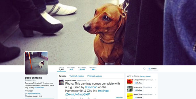 Follow This: 10 Best Doggie Twitter Accounts - DogTime