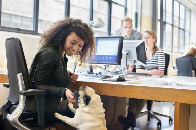 For Bosses: 5 Reasons Why Dogs Are Awesome In The Workplace - DogTime