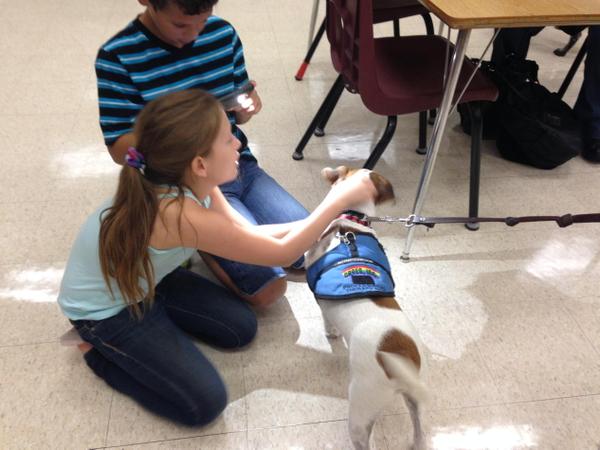 Therapy Dogs Deployed To Combat Bullying In Kansas Middle School - DogTime
