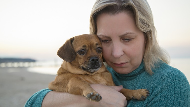 How Do I Help A Friend Who's Grieving The Loss Of A Pet? - DogTime