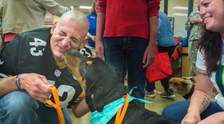 They Thought Their Dog Was Dead: Zeus Update! - DogTime