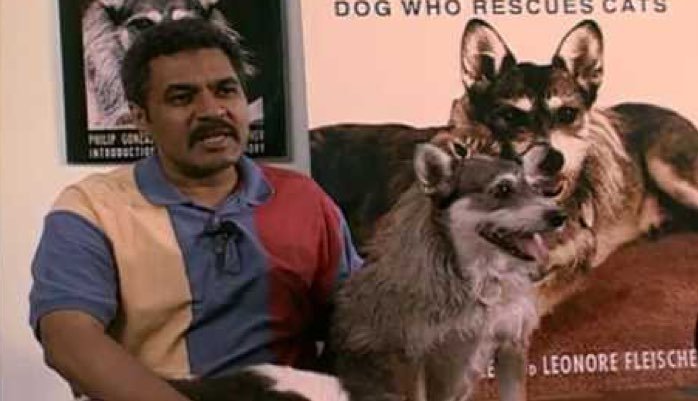 Celebrating Ginny: The Rescued Super Dog Who Saved Almost 1000 Cats ...