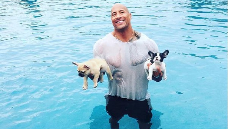 Dwayne Johnson’s Dog Steals the Spotlight as He Poses With Dad for GQ ...
