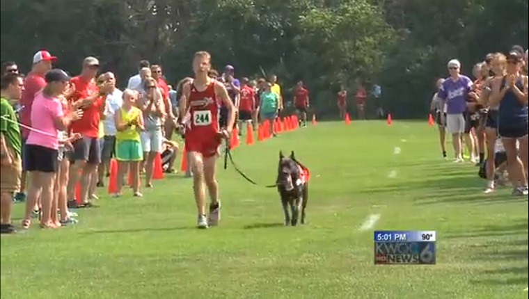 German Shepherd Service Dog Helps His Boy Run Cross Country - DogTime