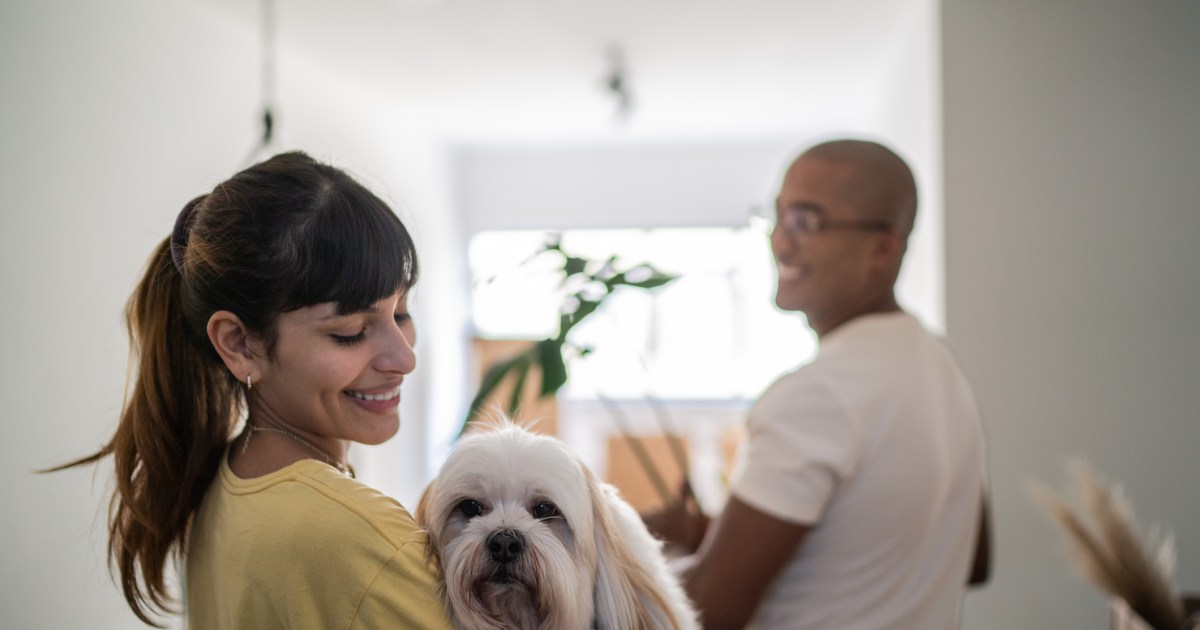 Tips for Bringing a New Dog Home - DogTime