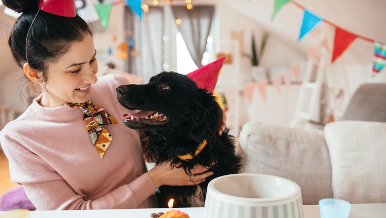 Puppy Shower Games To Celebrate Your New Furry Family Member - DogTime