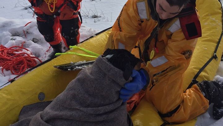Dog Falls Through Ice: Emergency Response Teams To The Rescue - DogTime