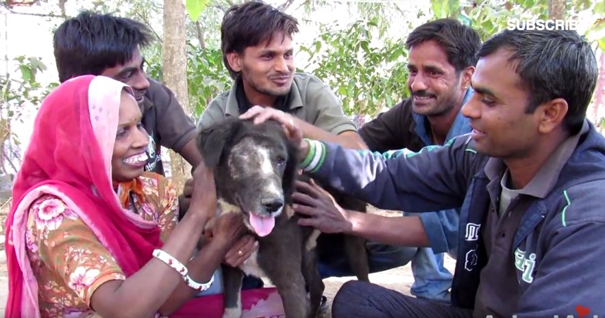 Kalu: The Dog Who Grew A New Face [WARNING: GRAPHIC] - DogTime