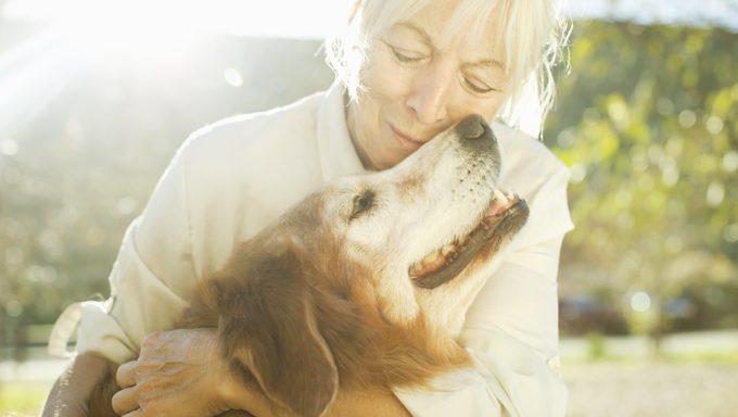 How To Know When It's Time To Say Goodbye To Your Dog - DogTime