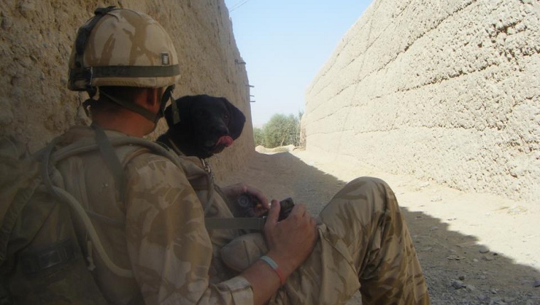 Veteran Gets Tattoo Made From The Ashes Of His Army Dog - DogTime