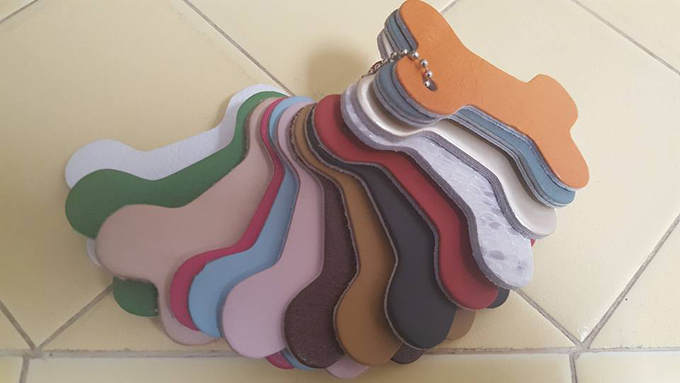 The Buddy Belt Harness For Dogs Product Review - DogTime