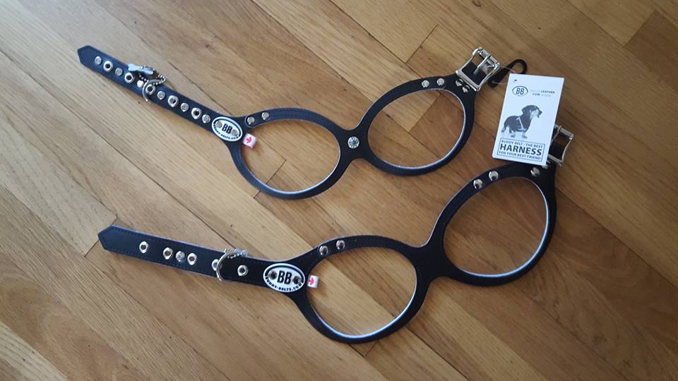 The Buddy Belt Harness For Dogs Product Review - DogTime