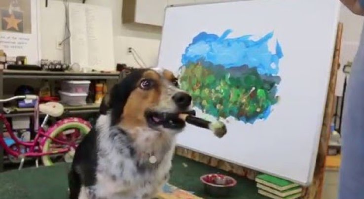 Jumpy The Dog Creates Amazing Art! [VIDEO] - DogTime